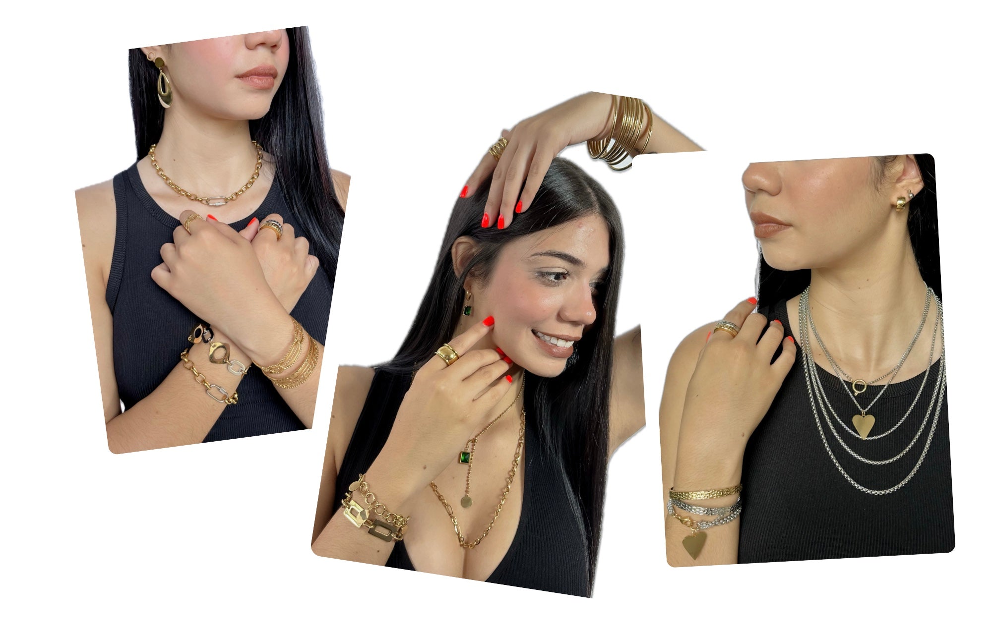 Papillón PR – Papillon PR