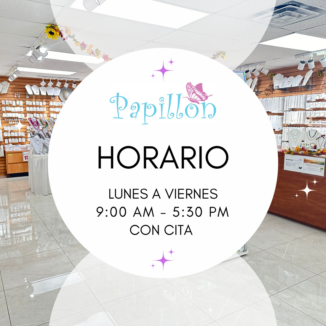 Papillón PR – Papillon PR