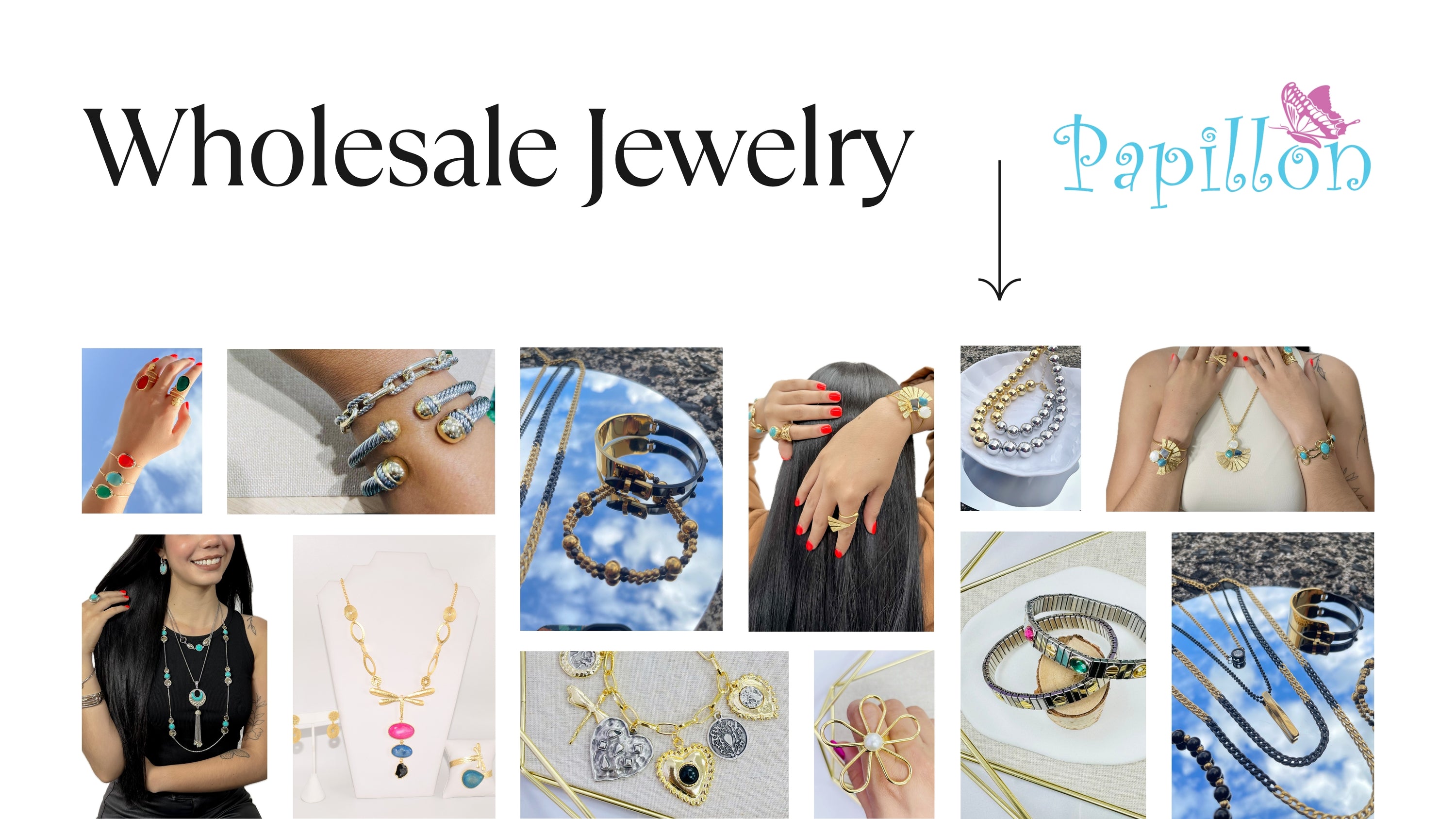 Papillón PR – Papillon PR